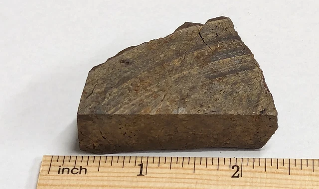 CUT 70 GRAM Unclassified NWA METEORITE (#F5267) $29.95 - PicClick AU