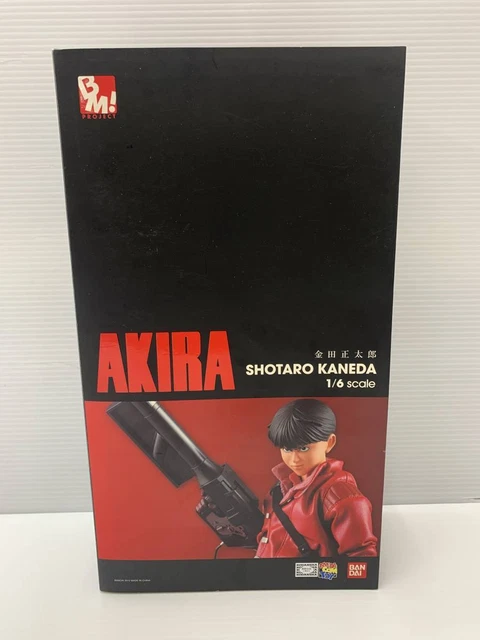 64-KT3146-100S PROJET BM Akira Shotaro Kaneda 1/6 Échelle Figurine Article EUR 465,70 - PicClick FR
