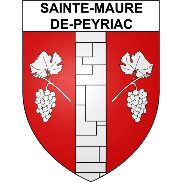 SAINTE-MAURE-DE-PEYRIAC 47 VILLE sticker blason écusson autocollant adhésif EUR 6,99 - PicClick FR
