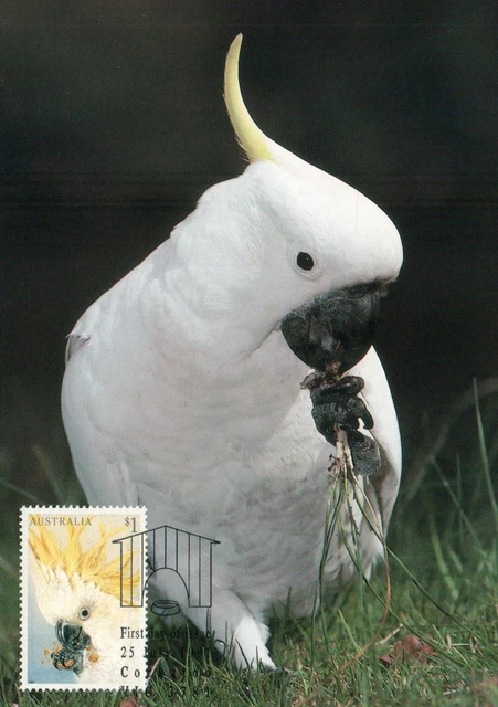 WHITE COCKATOO MAXI Card POSTCARD Australia Post FDI Card & Stamp $6.00 ...