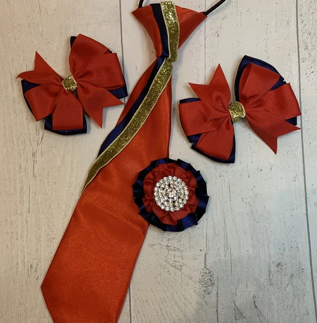 READYMADE SHOWING SET - Show Bows - Piggy Bows - Hair Bows Equestrian ...