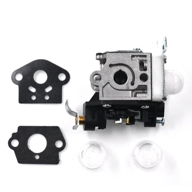 LE CARBURATEUR COMPLET pour Echo PB 251 ES 255 comprend des ampoules et des... EUR 24,02 ...