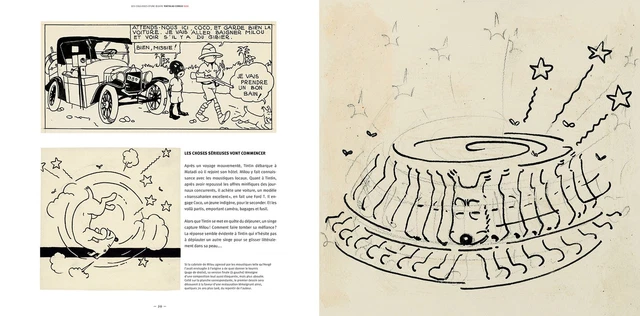 PHILIPPE GODDIN DIETRO le quinte di un'opera - Tintin in Congo (T2) EUR ...