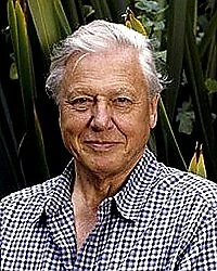 NATURAL WORLD - The David Attenborough Collection [DVD]-Good £31.99 ...