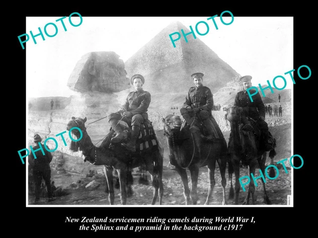 OLD LARGE HISTORIC Photo Of New Zealand Anzac Soldiers In Egypt 1917 ...