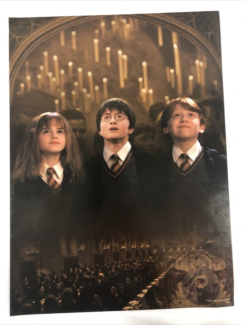 Hermione Granger Harry Potter Ron The Sorcerers Stone Movie Poster 8