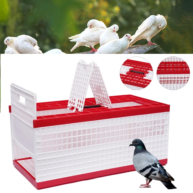 14 BIRDS PIGEON Training Basket Folding Collapsing Cage Nest Bird Box w ...