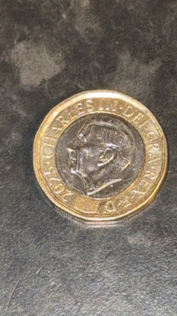 ROYAL MINT BEES 2024 £1 One Pound BU Coin Brilliant Uncirculated £208. ...