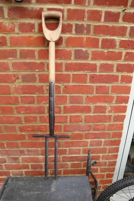 VINTAGE D HANDLE 2 Prong Garden Allotment Parsnip Turnip Beet Digging ...