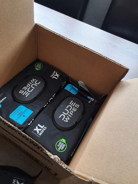 DUDE WIPES FLUSHABLE Wet Wipes Dispenser, Mint Chill, 48Count x4 packs £17.21 - PicClick UK