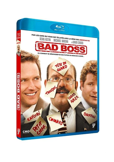 BAD BOSS (BLU-RAY) Sean Astin Michael Vartan James B. Rogers £9.53 ...