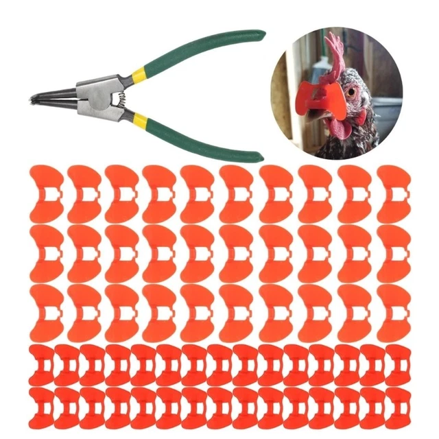 PHEASANTS POULTRY BLINDERS Chicken Eye Glasses Spectacles Antipecking ...