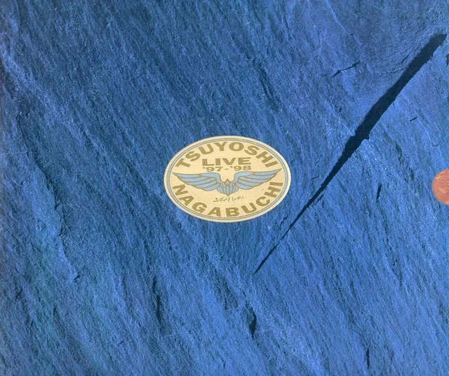 PAMPHLET PAMPHLET LIVE with appendix Pamphlet Tsuyoshi Nagabuchi LIVE ...