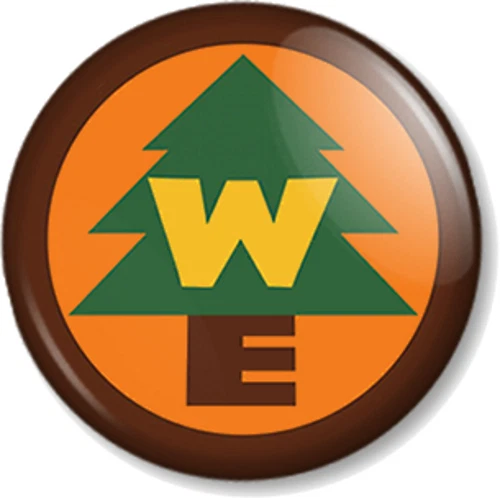 WILDERNESS EXPLORER 25MM 1" Pin Button Badge Movies Up! Russell Disney ...