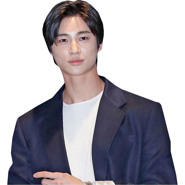 BYEON WOO SEOK (Suit) Half Body Buddy Cutout $42.87 - PicClick