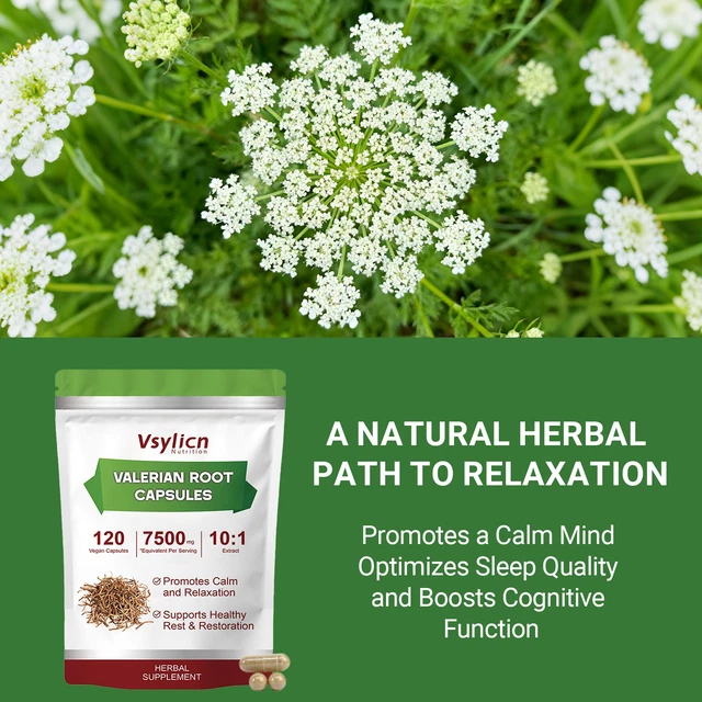 HIGH STRENGTH VALERIAN Root Extract 7500mg | Natural Sleep Aid Capsules ...