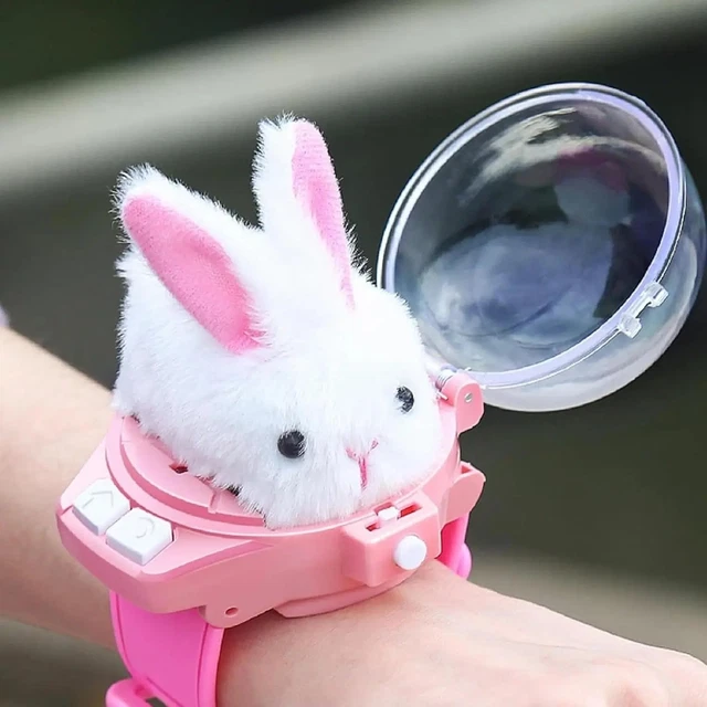 CAPYBARA RABBIT REMOTE Control Car Watch Toys with Light 2.4G Racing ...