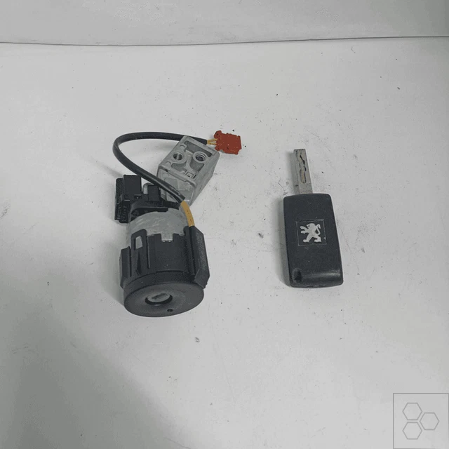 4162XT BARILLET PORTE av pour PEUGEOT 207 PLUS 1.4 8V Ber 2006-2013 ...