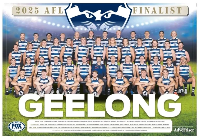 GEELONG CATS 2025 AFL FOOTBALL CHAMPION TEAM PLAYER LAMINATED POSTER,3 ...