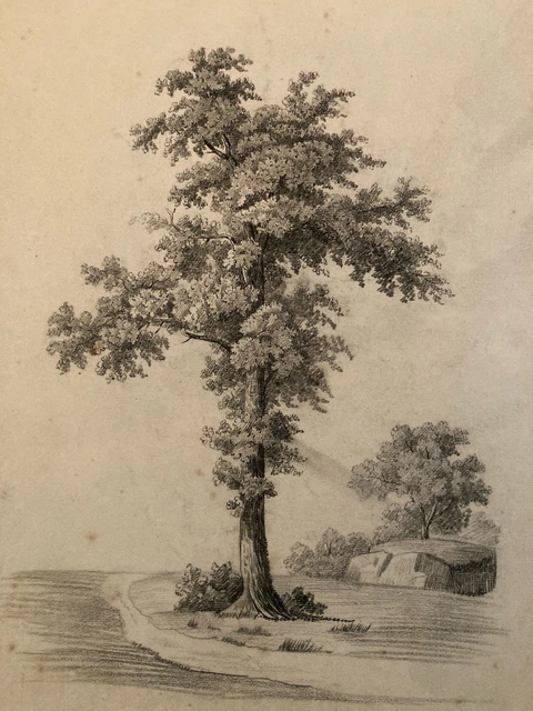 LARGE DRAWING XIXTH 1850 Pencil Sheet Branch Romanticism Shaft Antique ...