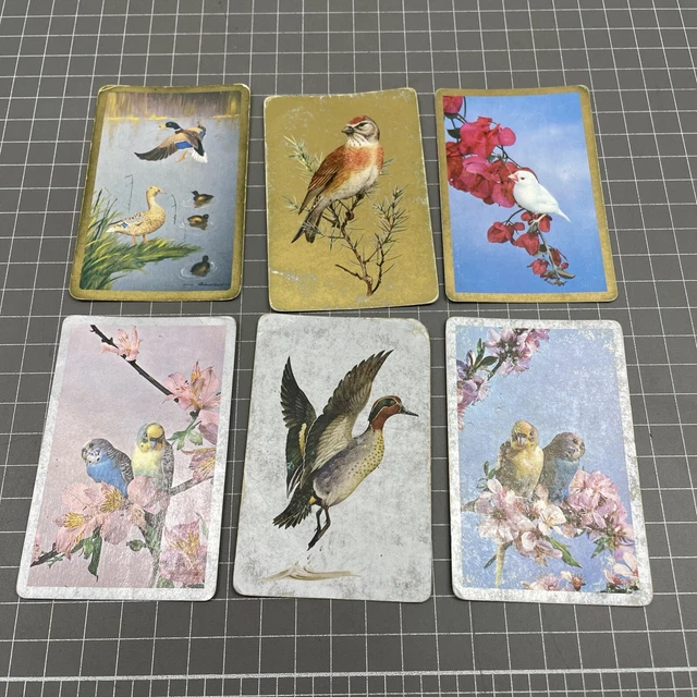 VINTAGE SWAP CARD LOT 1970s RETRO CARICTURE 1980s Birds Bird Budgie EUR ...