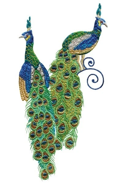 MACHINE EMBROIDERY DESIGNS Usb - Peacock Artistry Collection 4X4 5X7 ...