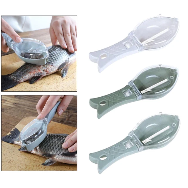 PLASTIC GRATERS Scraper, Fish Skin Fish Cleaning Tool Scraping Scales ...