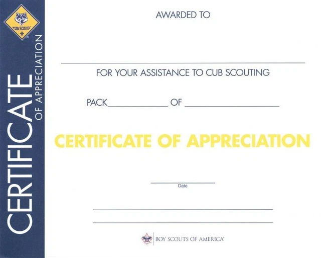 BOY SCOUT OFFICIAL BSA ADULT LEADER DISTRICT AWARD OF MERIT CERTIFICATE ...