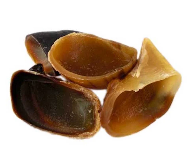 BEEF COW HOOF Hooves 20. Australian Dog Treats Chews Bulk Natural Pet ...