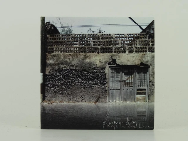 HILLSTROM AND BILLY KEYS IN THE LAKE (C96) 1 Track Promo CD Single with ...