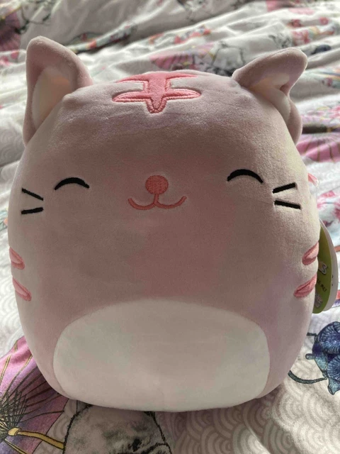 8” PAULITA THE Pink Cat Squishmallow New With Tags £30.00 - PicClick UK