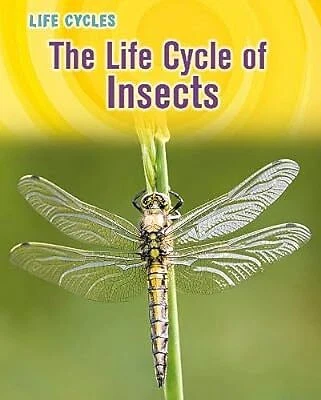 LE CYCLE DE vie des insectes (cycles de vie), gris Susan Heinrichs, d ...