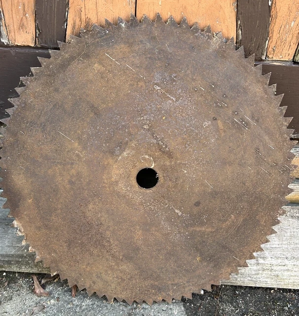 LARGE 16 3/4 Buzz Saw Sawmill Blade Log Mill Cordwood Logging Rustic ...