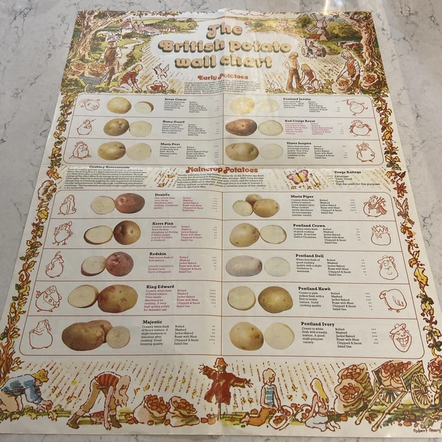 VINTAGE 1976 BRITISH Potato Wall Chart Poster Early & Maincrop ...