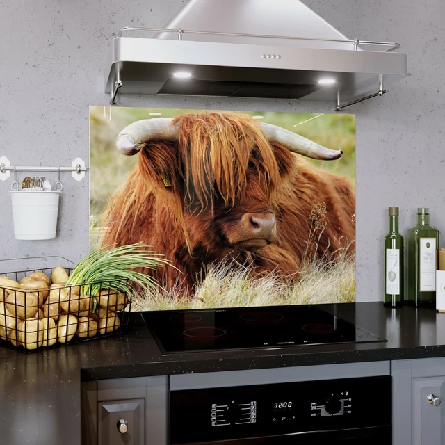 GLASS SPLASHBACK KITCHEN Tile Cooker Panel ANY SIZE Highland Cow Bull ...