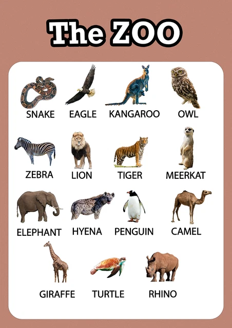 ZOO ANIMALS EDUCATIONAL Wall Poster Early Years Learning A4/A3 £7.50 ...
