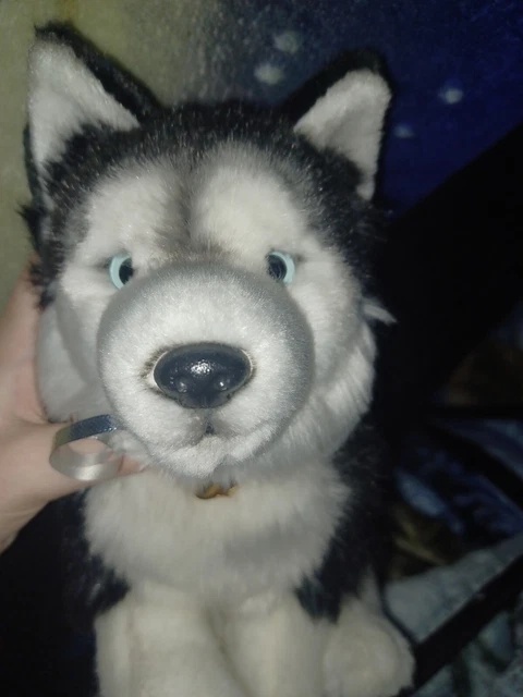 Webkinz Signature Siberian Husky | atelier-yuwa.ciao.jp