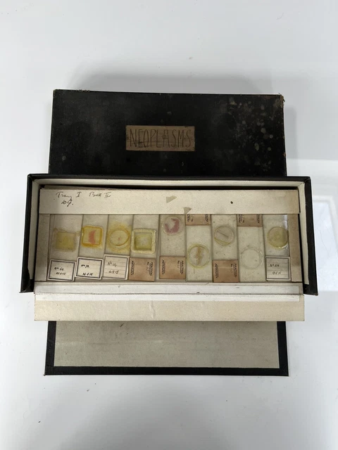 ANTIQUE MICROSCOPE SLIDES Neoplasms x 91 In Cardboard Box Date to 1915 ...