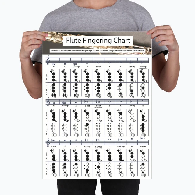 Useful Flute Fingering Chart Poster Practical Instrument Accessories Practice £826 Picclick Uk