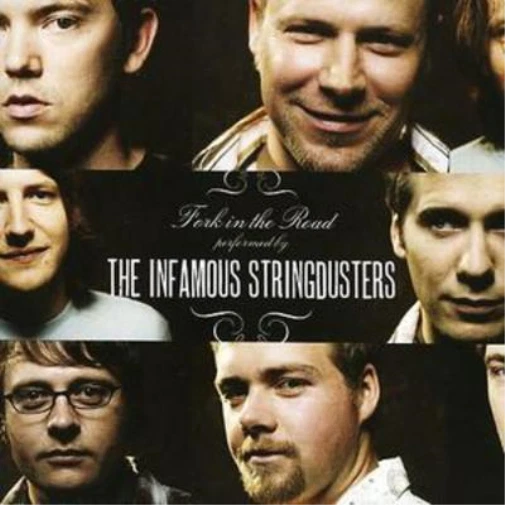 THE INFAMOUS STRINGDUSTERS The Infamous Stringdusters (CD) Album EUR 19 ...