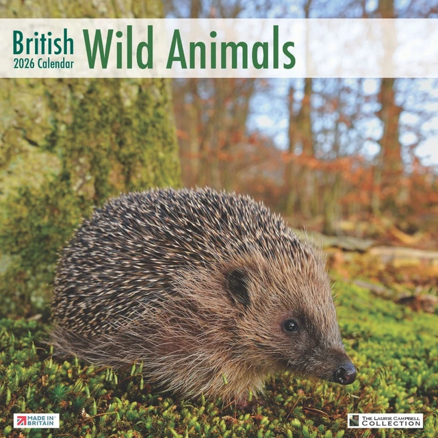 CALENDAR 2026 BRITISH Wildlife Official Large UK Holidays MADE IN ...