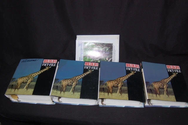 VINTAGE 90S WILDLIFE Fact File Cards 4 Binders Around 800 Cards $59.99 ...
