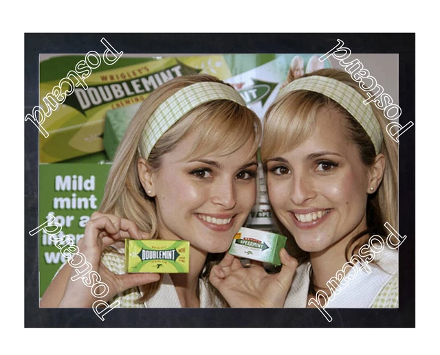 HISTORIC WRIGLEY'S SPEARMINT-DOUBLEMINT Twins 1960s Advertising ...
