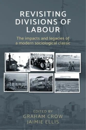 GRAHAM CROW REVISITING Divisions of Labour (Poche) EUR 45,03 - PicClick FR