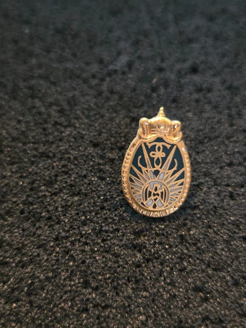 13TH PARACHUTE DRAGOON Regiment franz. Armee Pin/Pins* 23038 EUR 3,33 ...