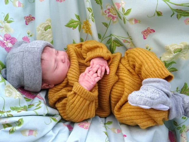 REBORN PARTIAL SILICONE VIDEO 19"6lb6 Silas (Silvia) JosyNN Josy ...