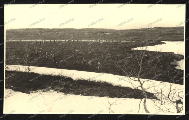 GEBIRGS-JÄGER-PIONIER BTL.82-KORPS-LAPPLAND-MURMANSK-TITOWKA-TUNDRA ...