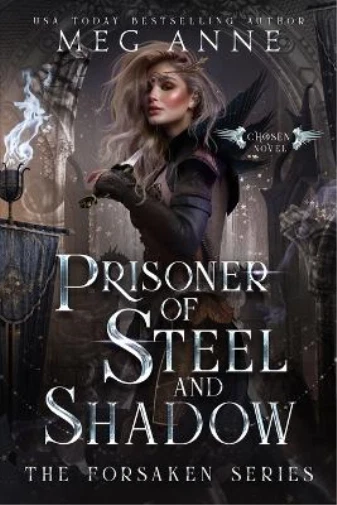 MEG ANNE PRISONER of Steel and Shadow (Poche) EUR 20,91 - PicClick FR