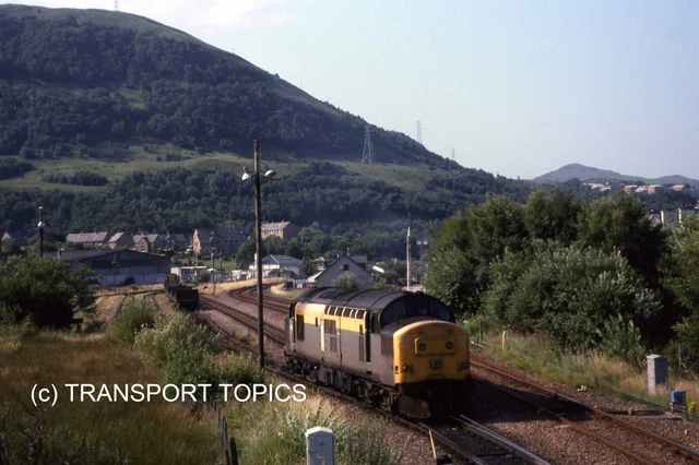 DIESEL RAILWAY PHOTO CLASS 37 # 37196 Fort William 03-08-95 - TRANSPORT ...