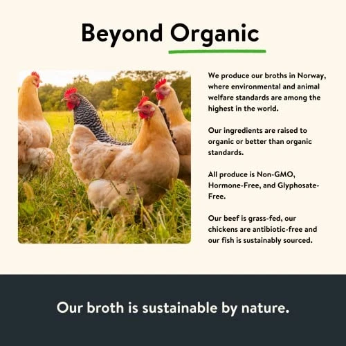 FREJA DISCOVERY BONE Broth Pack | Beef, Chicken & Vegetable | Premium ...